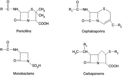 Penicillin ‘allergy’ and safety of third generation cephalosporins ...