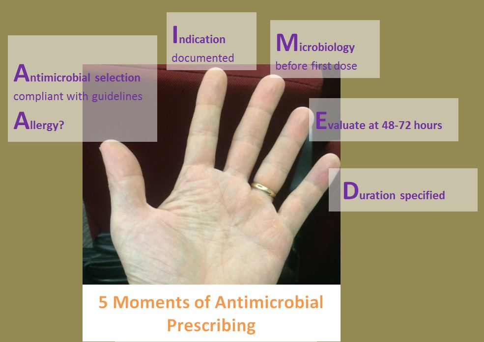 AIMED – 5 Moments of Antimicrobial Prescribing | AIMED - Let's talk ...