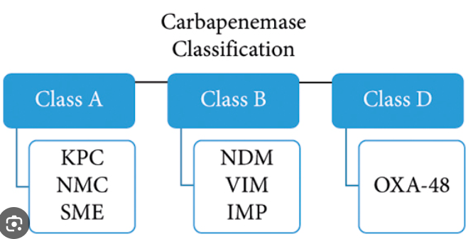 AIMED - Let's talk about antibiotics